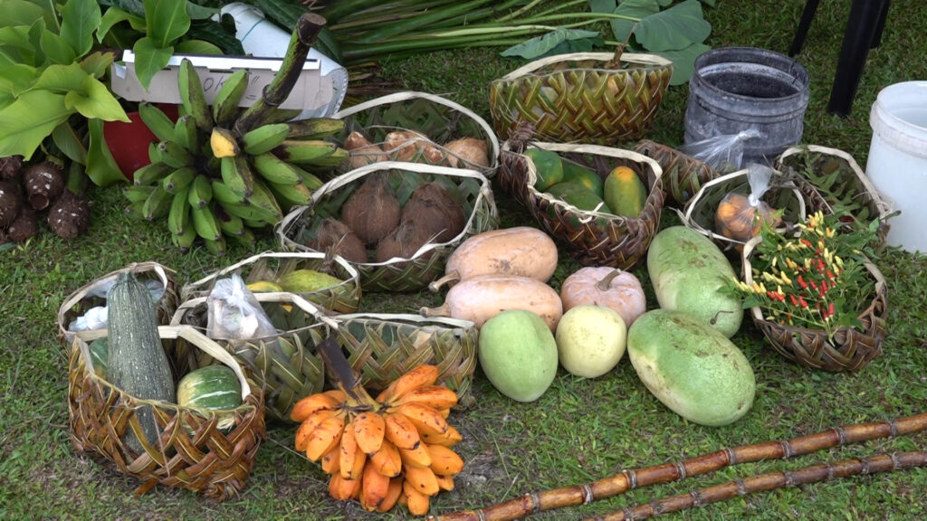 ‘Loud and proud’ was the Mutalau Village Showday 2022 – Television Niue